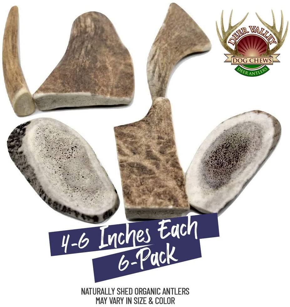 Deer Valley Dog Chews (Tiny 6 Pack, 4-6 Inches) - Premium Deer Antler for Small Dogs - Ideal Size for Puppies - Sourced in The USA