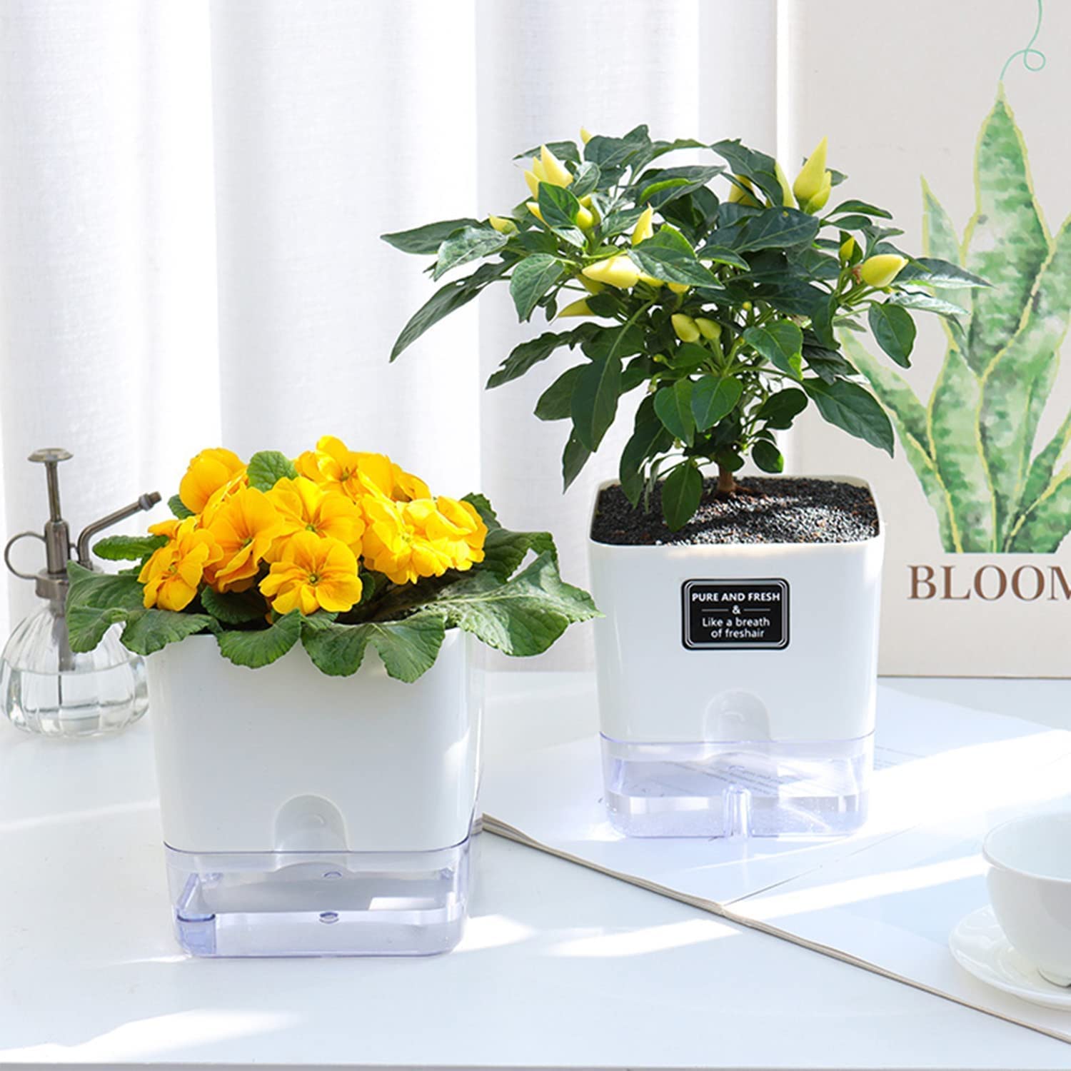 FAMZ Self Watering Planters 4 Pack,Plant Pots for Indoor,Automatic Moisturizing,Transparent Square Flower Pot for Indoor and Outdoor Plants,Succulents,Violets,Ivy