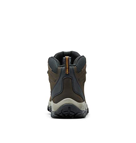 Columbia mens Newton Ridge Plus Ii Waterproof Hiking Boot, Cordovan/Squash, 9 US