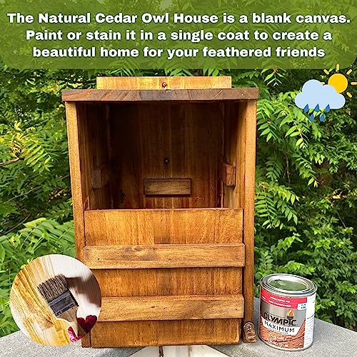 SDMOutdoor North American Screech Owl House, Wooden Owl Nesting Box, Screech Owl, Barn Owl. No Assembly Required Includes All Hardware. Cedar Nesting Box.