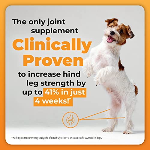 VETRISCIENCE Glycoflex 3 Clinically Proven Hip And Joint Supplement With Glucosamine For Dogs, 120 Chews - Vet Recommended Mobility Support Supplement With DMG, MSM, And Perna