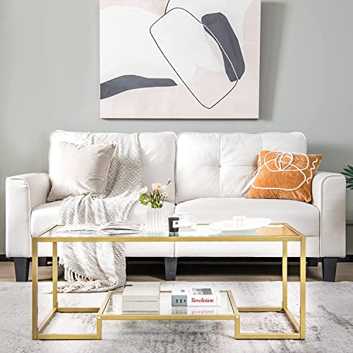 NAFORT Tempered Glass Coffee Table, 45 Inch Gold Rectangular Modern Center Table with Lower Storage Shelf, Sturdy Metal Frame, for Living Room Home Office/Gold