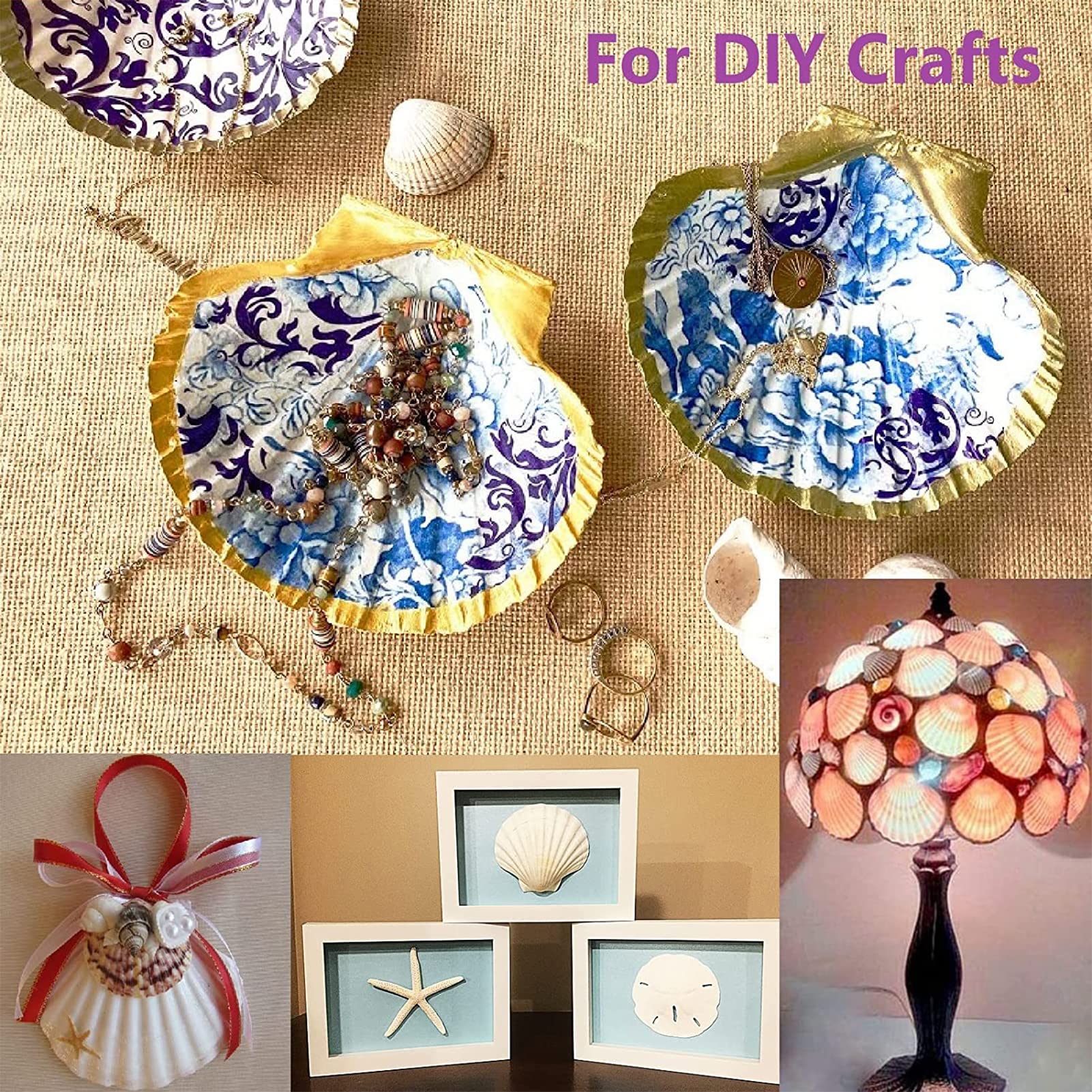 QICQDRAM 25PCS Sea Shells for Crafts Decoration 2''-3'' White Scallop Shells, for Crafts DIY Painting Beaching Wedding Decoration, Beach Natural Scallop Shells Bulk
