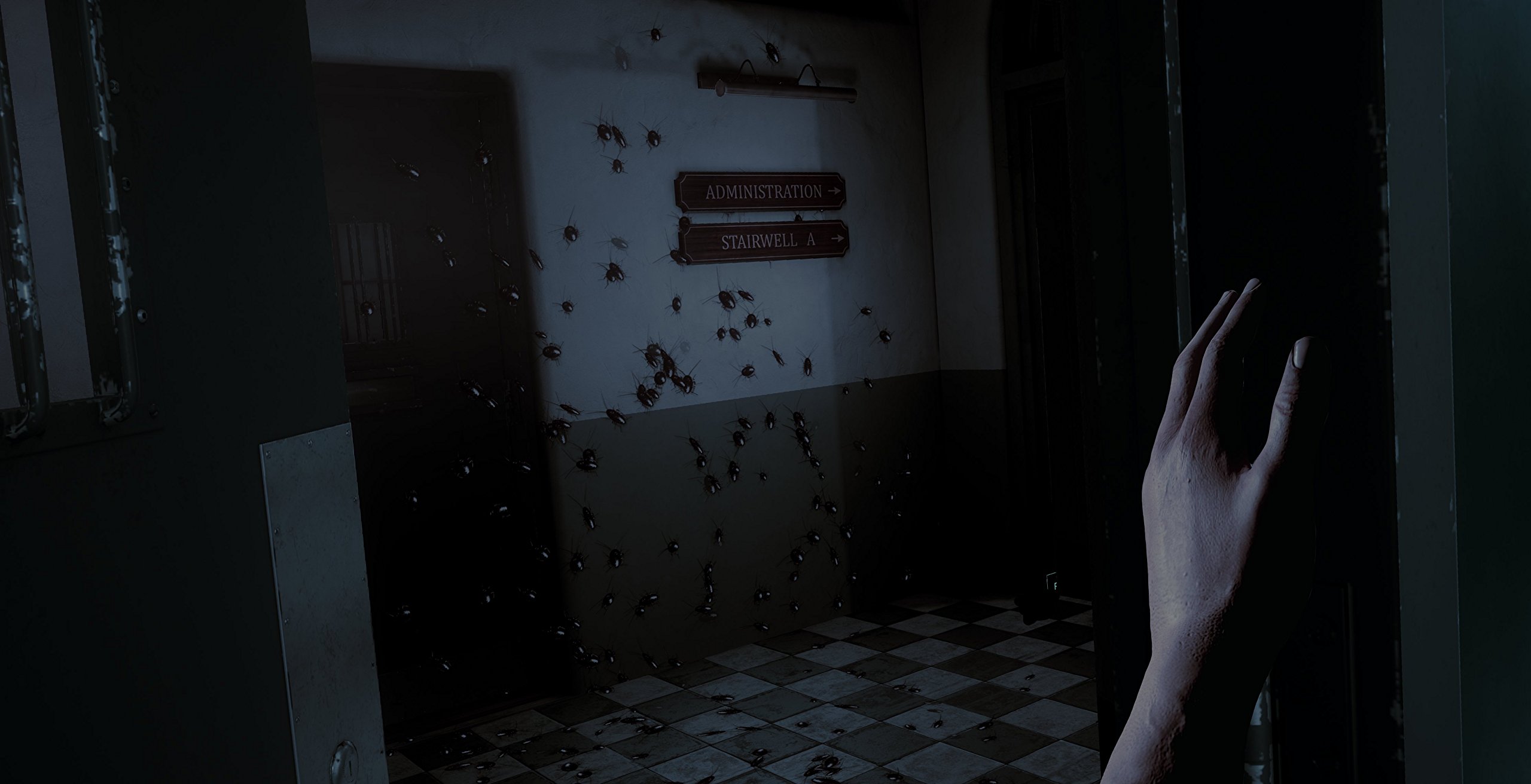 The Inpatient (PSVR)