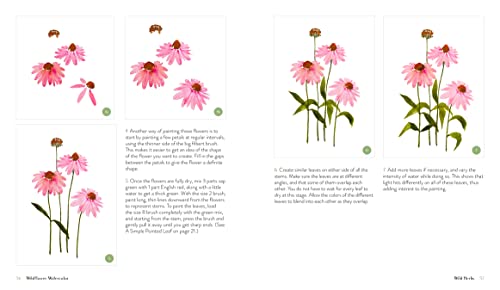 Wildflower Watercolor: The Beginner’s Guide to Painting Beautiful Florals