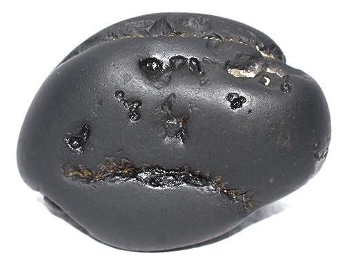 Rudrakshguru Laxmi Narasimha Shaligram - Gandaki River Nepal