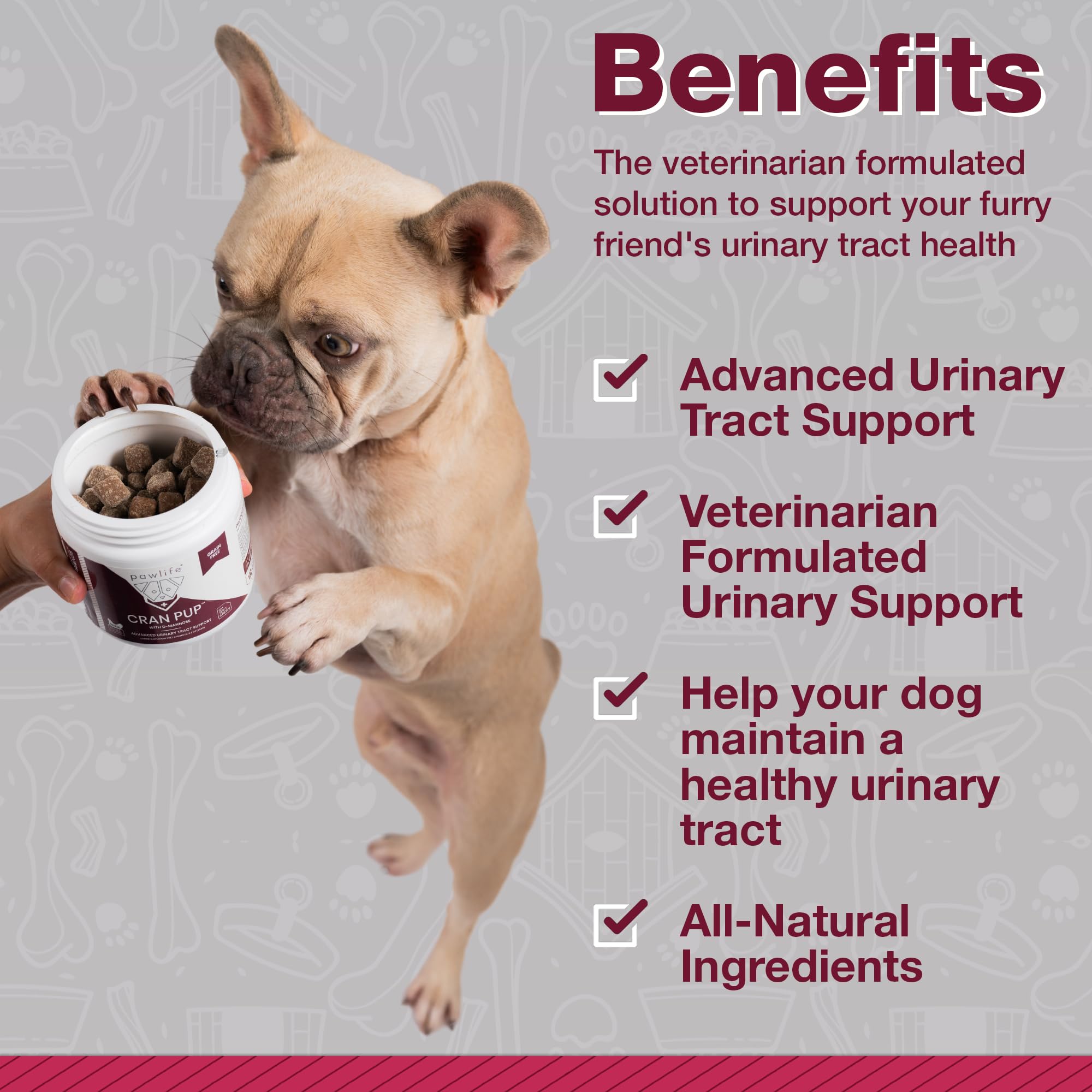 Pawlife Cranberry Supplements for Dogs| Urinary Tract & Bladder Support| D Mannose & Antioxidants for Support| 120 Veterinarian Formulated Soft Chews| Up to 4-Month Supply