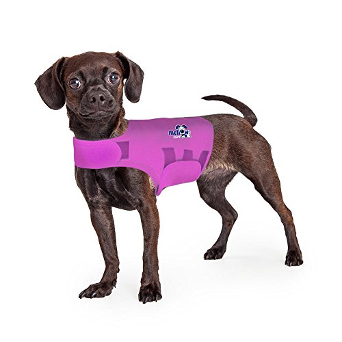 Mellow Shirt Dog Anxiety Calming Wrap, X-Small, Radiant Orchid