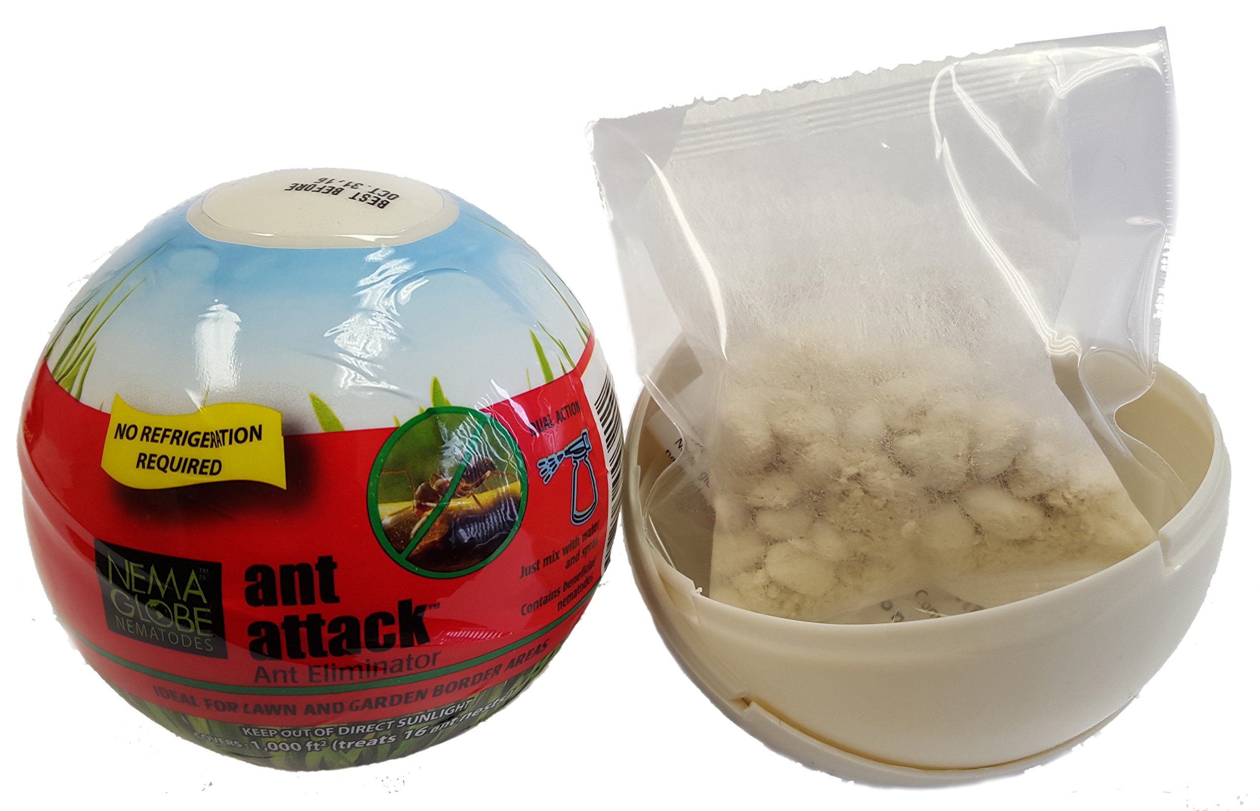 Nema Globe Nematodes Ant Attack, Ideal for Lawn and Garden Borders, Covers 1,000 sq ft, (Approx 10 Million Nematodes) - Ant Eliminator, Treats 16 Ant Nests, No Refrigeration Required