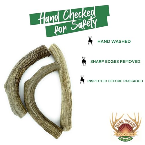 Deer Valley Dog Chews (Giant Single, 8-10 Inches) Sustainably-Sourced Deer Antler for Extra Large Dog Breeds - Durable Dog Chew Bone for Aggressive Chewers