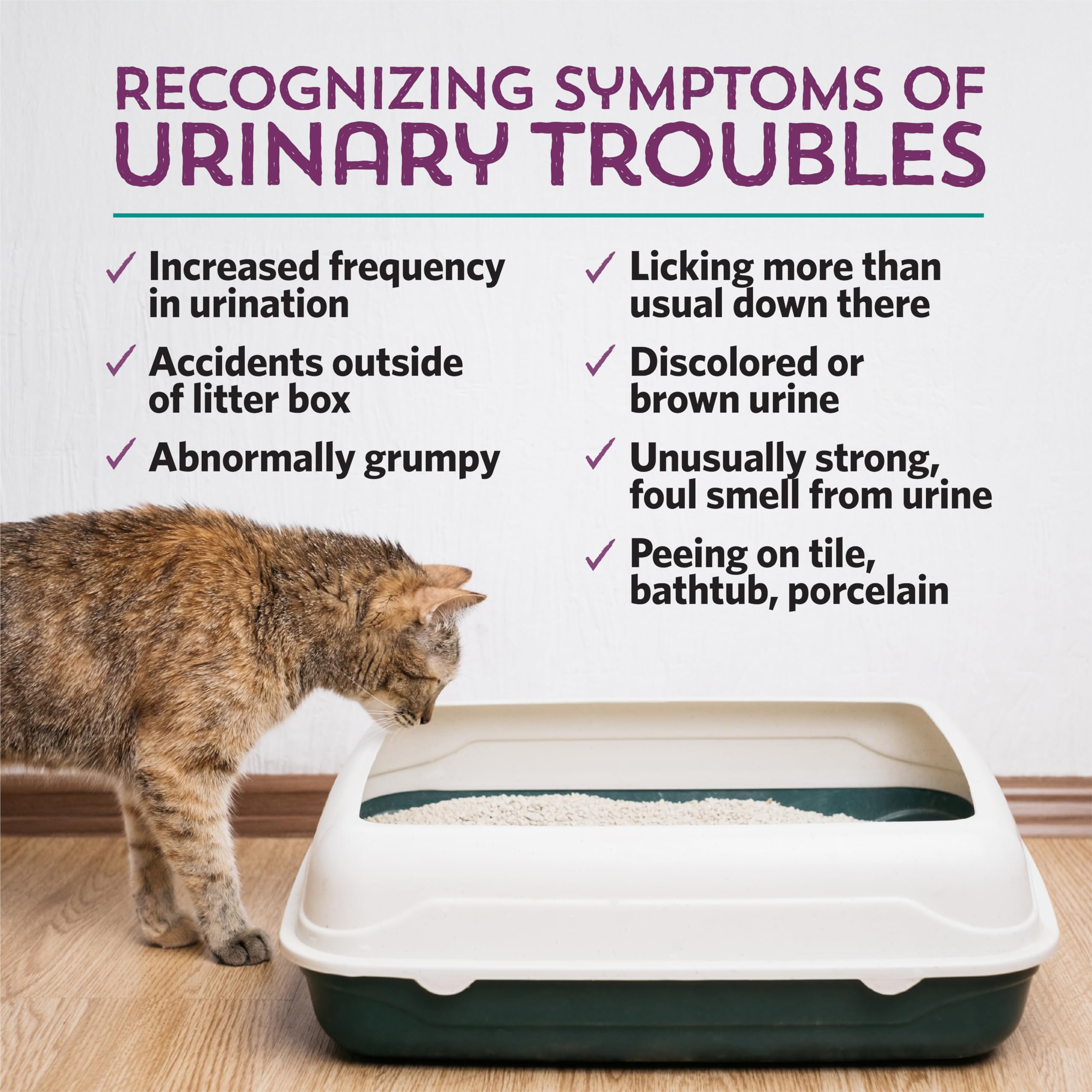 Meowbiotics Kitty P. Freely Cat Urinary Supplement, Cranberry for Cats, Cat UTI & Cat Kidney Support Powder Probiotics for Cats, Made in USA (30 Days)