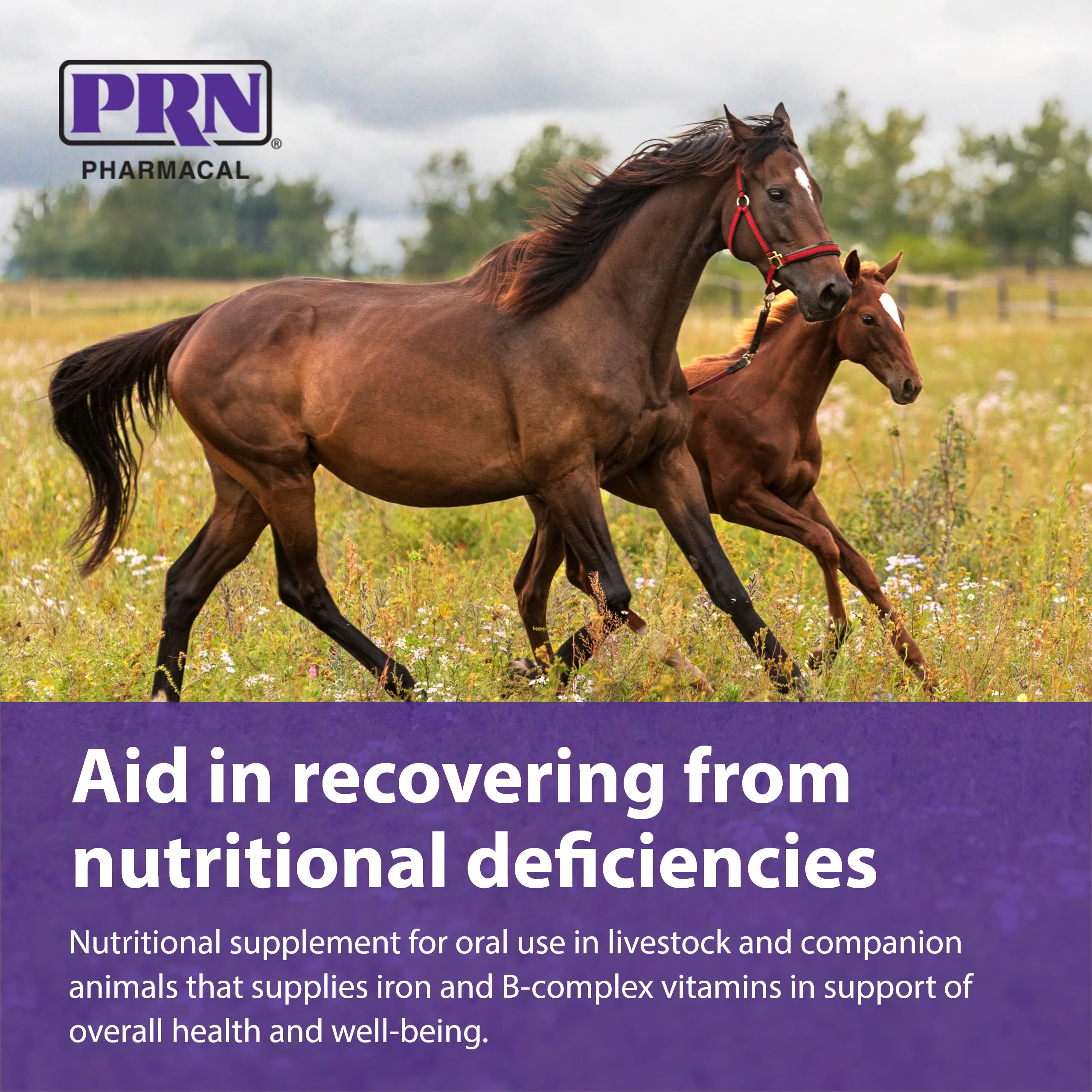 PRN Pharmacal Liqui-Tinic 4X - Iron & Vitamins Oral Nutritional Supplement for Pets- Liver-Flavored Supplement with Iron & B-Complex Vitamins to Support Wellness - 1 Gallon
