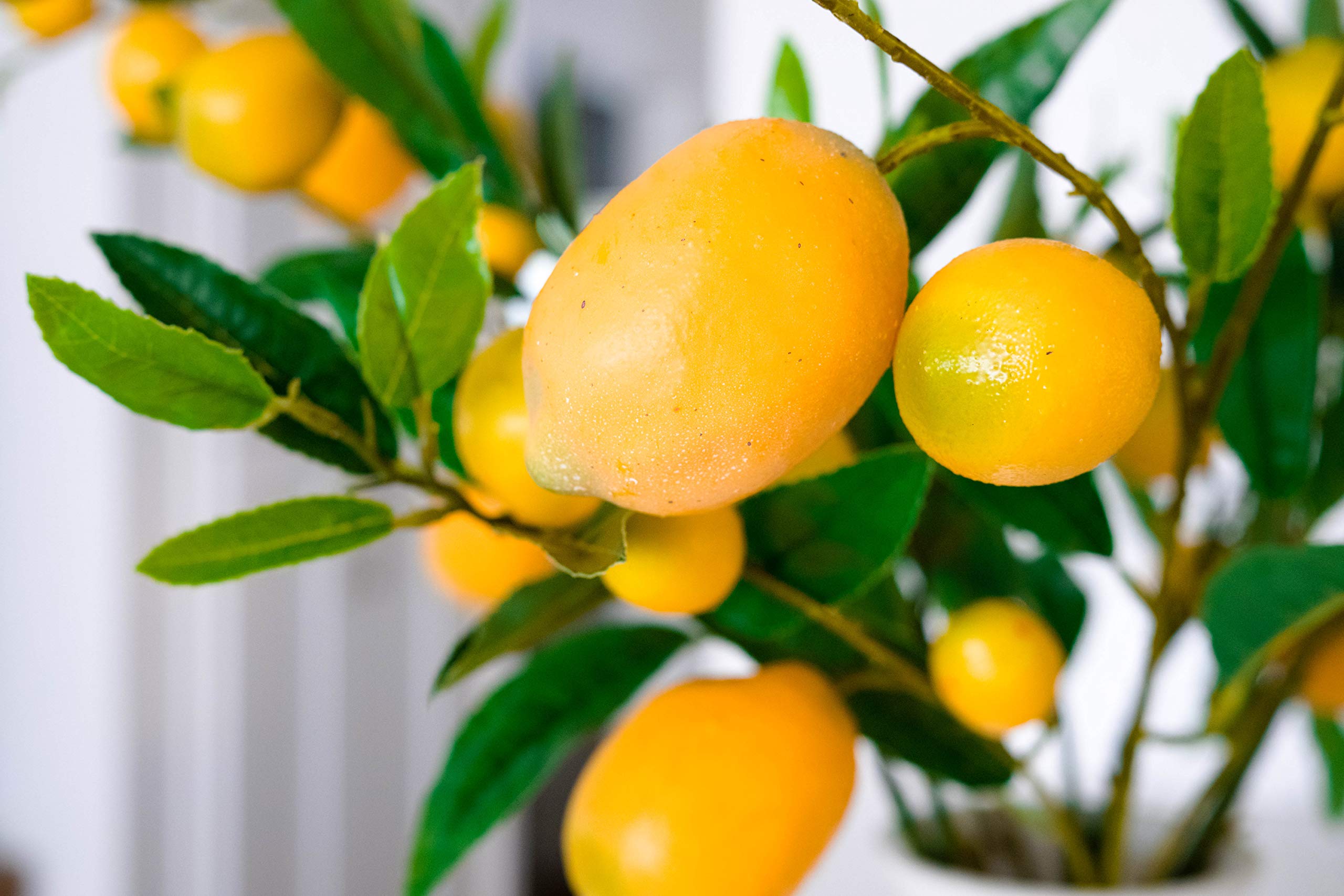 DomainScape 5 Pack Lemon Branch Decor - Artificial Lemon Branch Decoration - Full Unique Display - Large & Small Lemons with Green Leaves. Great for Kitchen, Home, Garden-Farmhouse Style