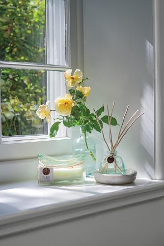 Northern Lights Candles - Windward 2 Wick Candle - Sea Rose & Cotton - 52668