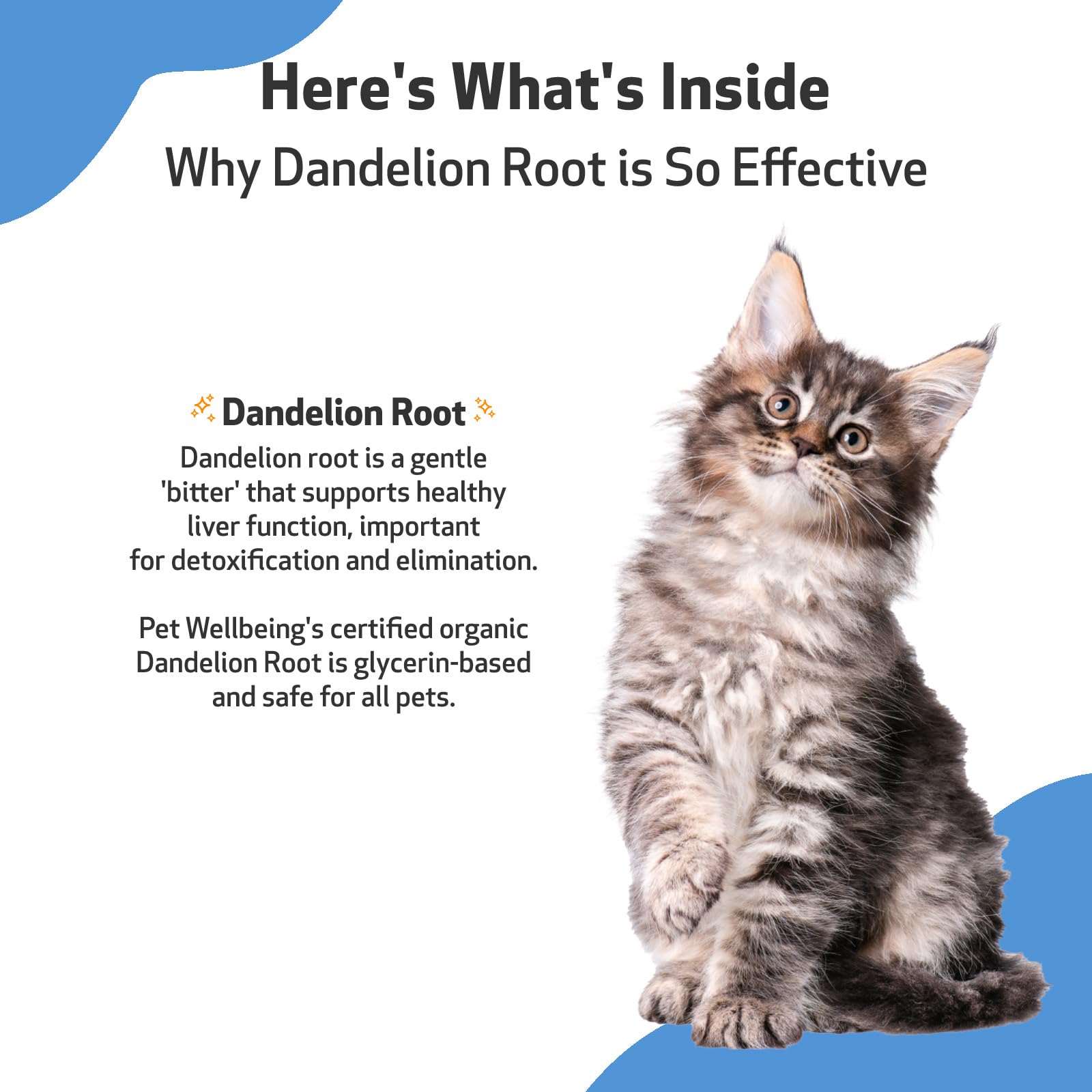 Pet Wellbeing Dandelion Root for Cats - Liver & Heart Health, Digestive Function, Blood Sugar Support, Certified Organic - Veterinarian-Formulated Herbal Supplement 2 oz (59 ml)