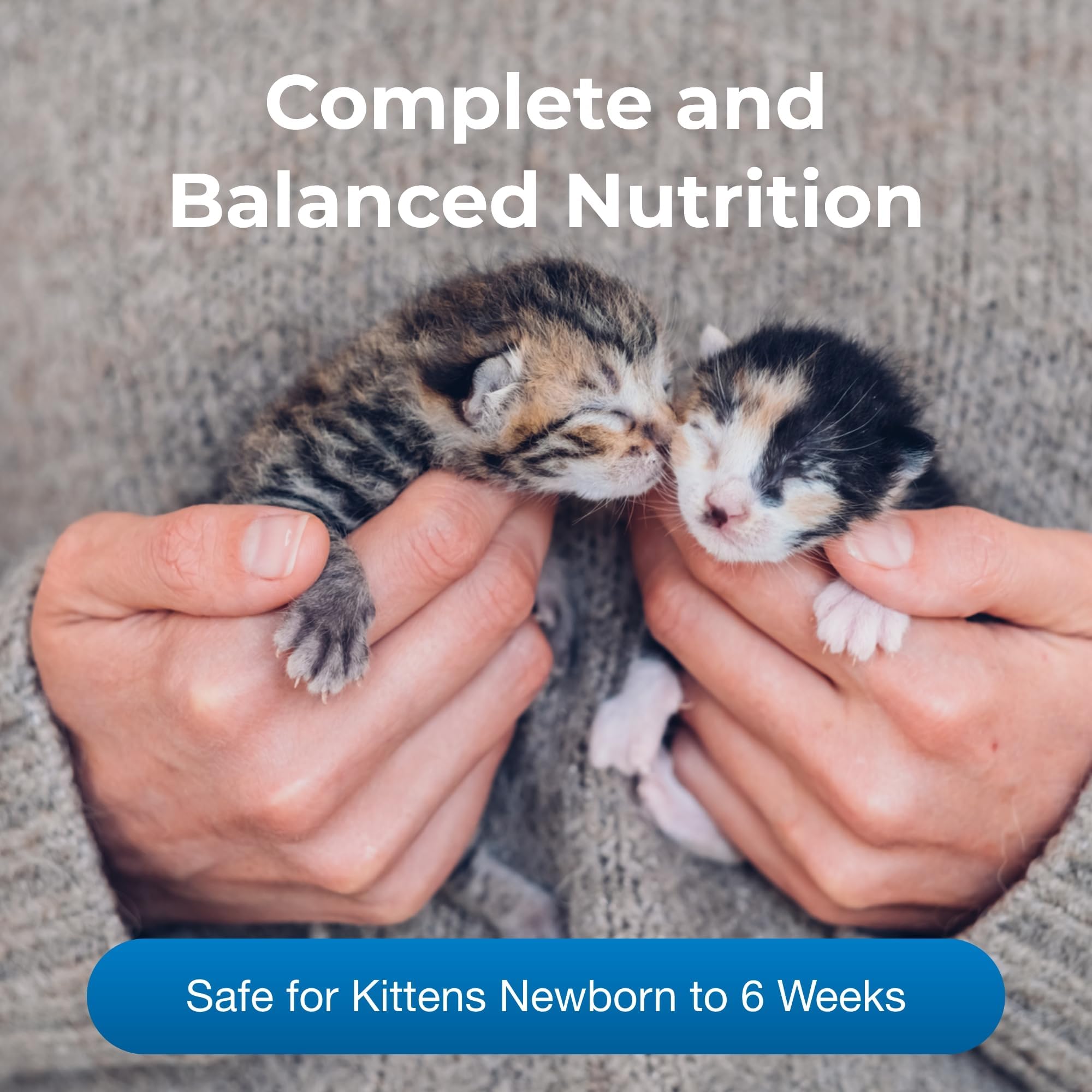 Pet-Ag KMR Kitten Milk Replacer Powder - 12 oz, Pack of 3 - Powdered Kitten Formula with Prebiotics, Probiotics & Vitamins for Kittens Newborn to Six Weeks Old - Easy to Digest
