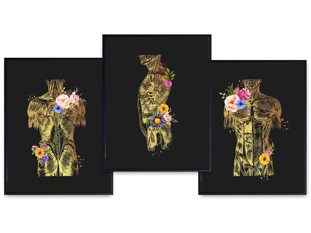 Human Anatomy Wall Art Set - Gift for Orthopedic Doctor, Physical or Massage Therapist, Nurse, Physicians Assistant, RN - Modern Gold Floral Room Decor - Medical Office, Home, Apartment, Living Room