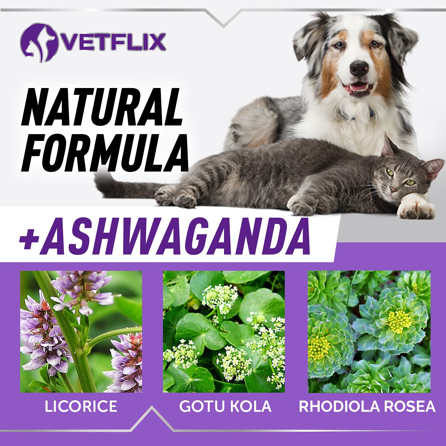 Pet Adrenal Support for Dogs & Cats - Made in USA - Cushings Treatment for Dogs - Cat & Dog Supplement for Kidney Support