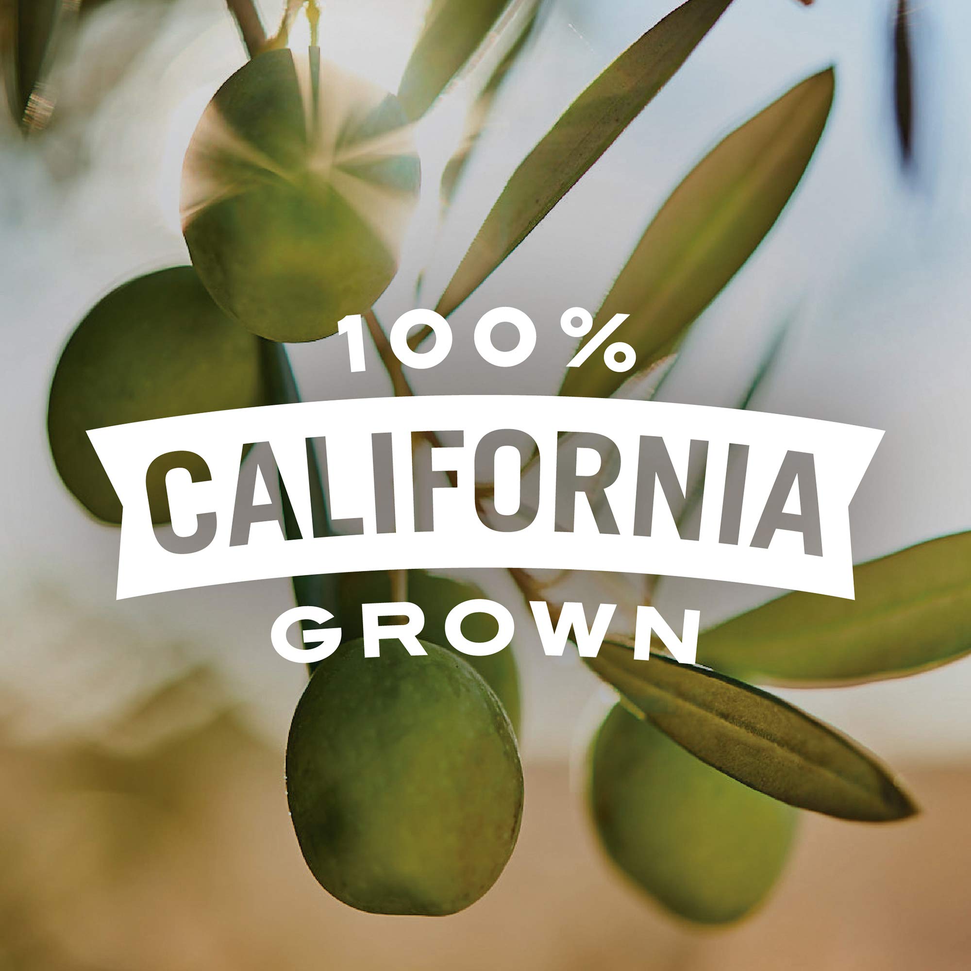 Early California, Ripe Pitted, Large Black Olives, 6 oz, 6-Cans