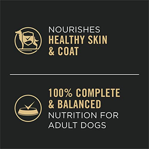Purina Pro Plan High Protein Dog Food, Wet Dog Food Variety Pack, Classic Pate Entrees - (Pack of 12) 13 oz. Cans