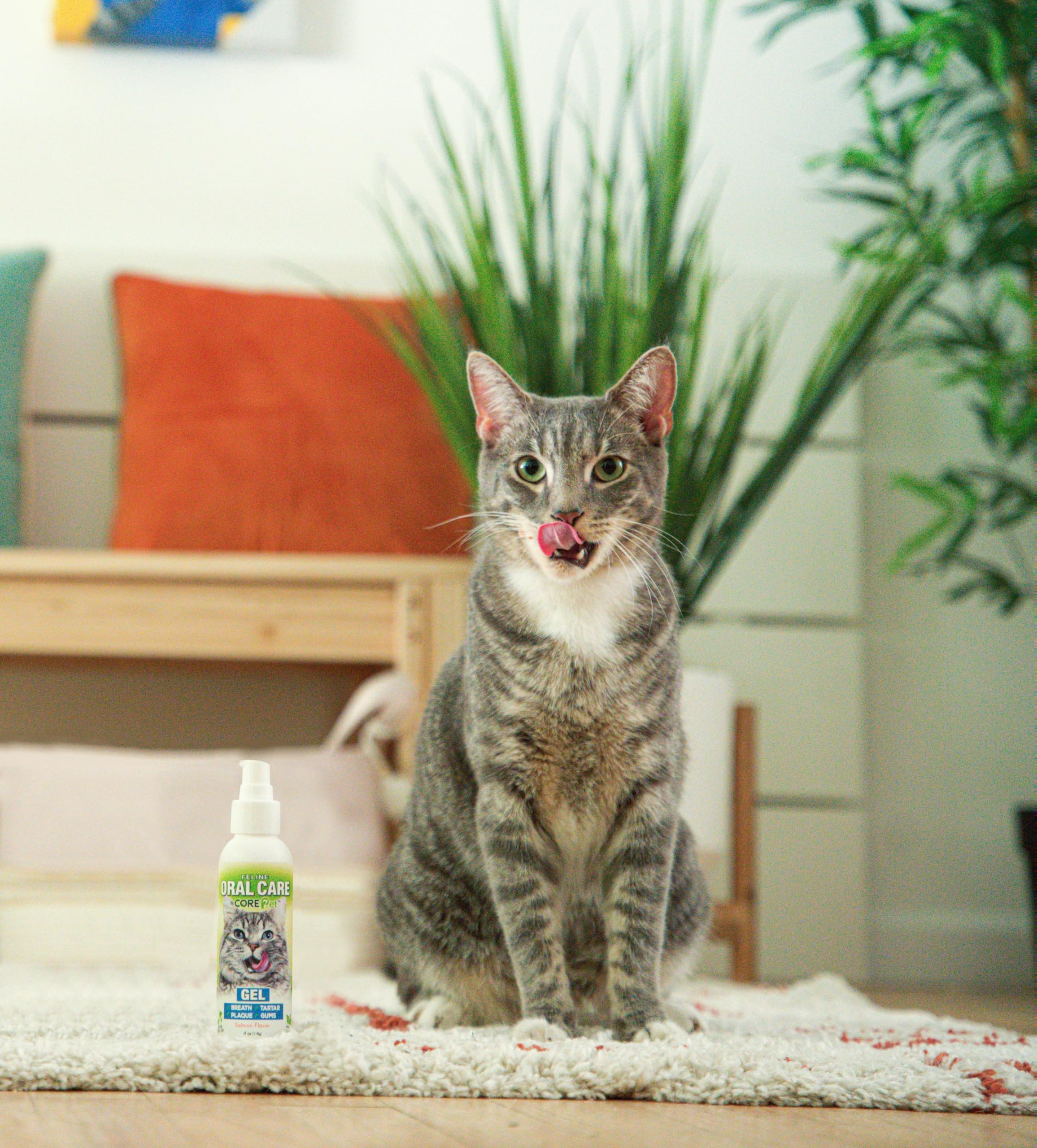 CORE Pet Complete Oral Care from The Founders of PetzLife - 4 oz (Feline Salmon Gel)