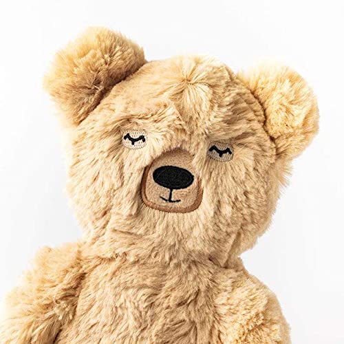 Slumberkins 14" Kin & Board Book | Promotes Gratitude, Respect & Sharing | Social Emotional Tools for Ages 0+ (Honey Bear Kin & Board Book)