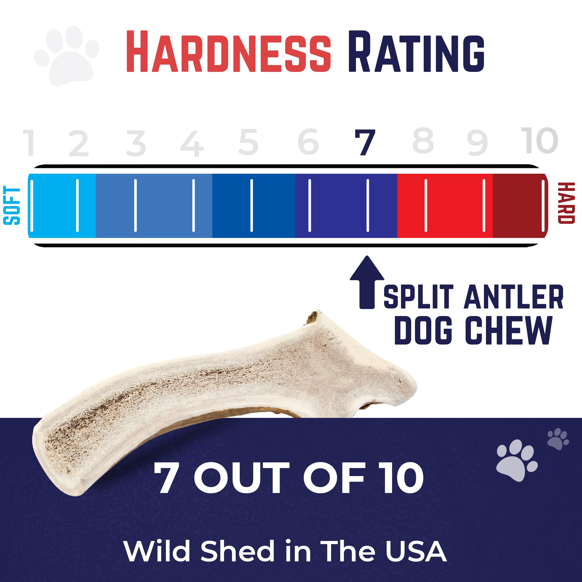 Devil Dog Pet Co. Split Elk Antlers for Dogs, 1 Pack, Medium 5β+, Grade A Long Lasting Dog Bones for Aggressive Chewers, Premium USA Naturally Shed Antler Dog Chew β No Odor, Dog Antler Chews