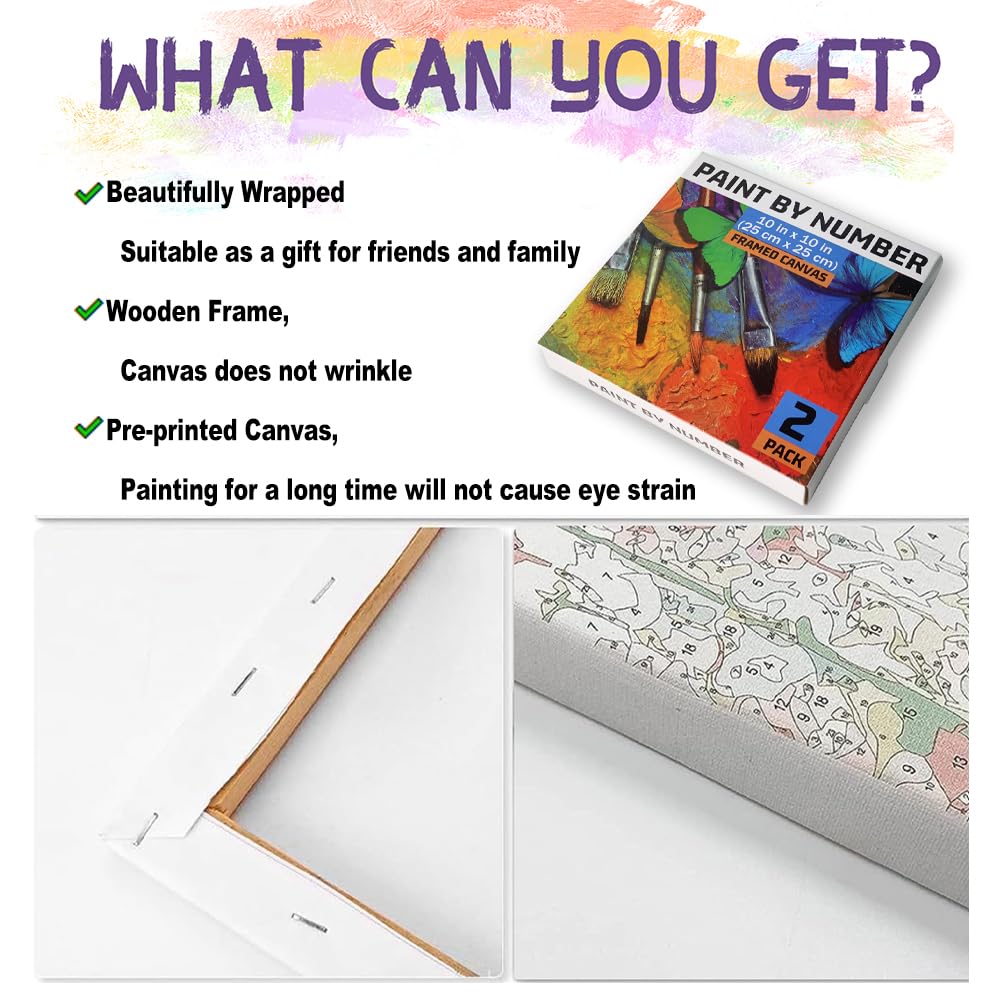 Mirztry 2 Pack 10"x 10" Flowers Framed Paint by Number for Adults Canvas, Flowers Adult Paint by Number Kits with Frame, Flowers Acrylic Oil Easy Paint by Numbers Kits on Canvas with Frame