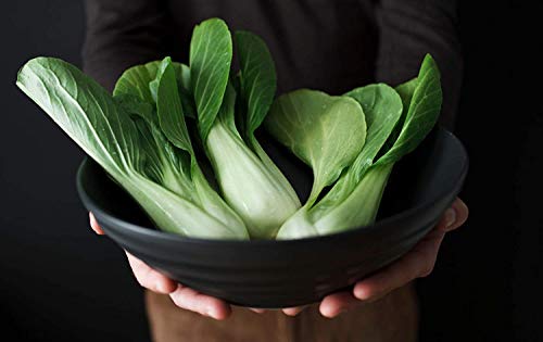 Gaea's Blessing Seeds - Bok Choy Seeds (2.0g) Canton Pak Choi Chinese Cabbage Non-GMO Seeds with Easy to Follow Planting Instructions - Heirloom 90% Germination Rate