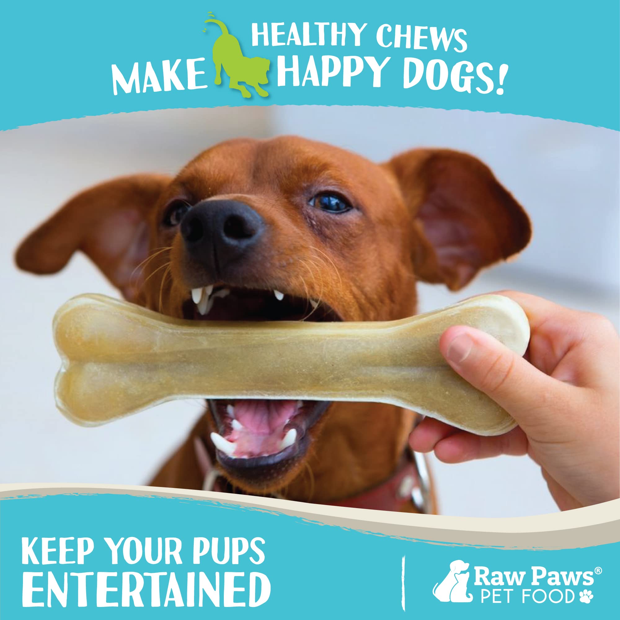 Raw Paws Compressed Rawhide Bones for Dogs, 8-inch, 10-Count - Packed in USA - Long Lasting Dog Chews - Natural Pressed Rawhides - Rawhide Bones for Large Dogs - Raw Hide Bones for Aggressive Chewers