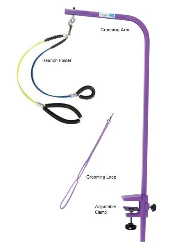 Downtown Pet Supply Dog Grooming Arm with Clamp and Grooming Loop, 2 Haunch, Purple - Adjustable, Steel Grooming Table Arm with Table Clamp, No Sit Haunch Holder Dog Grooming Restraint and Loop
