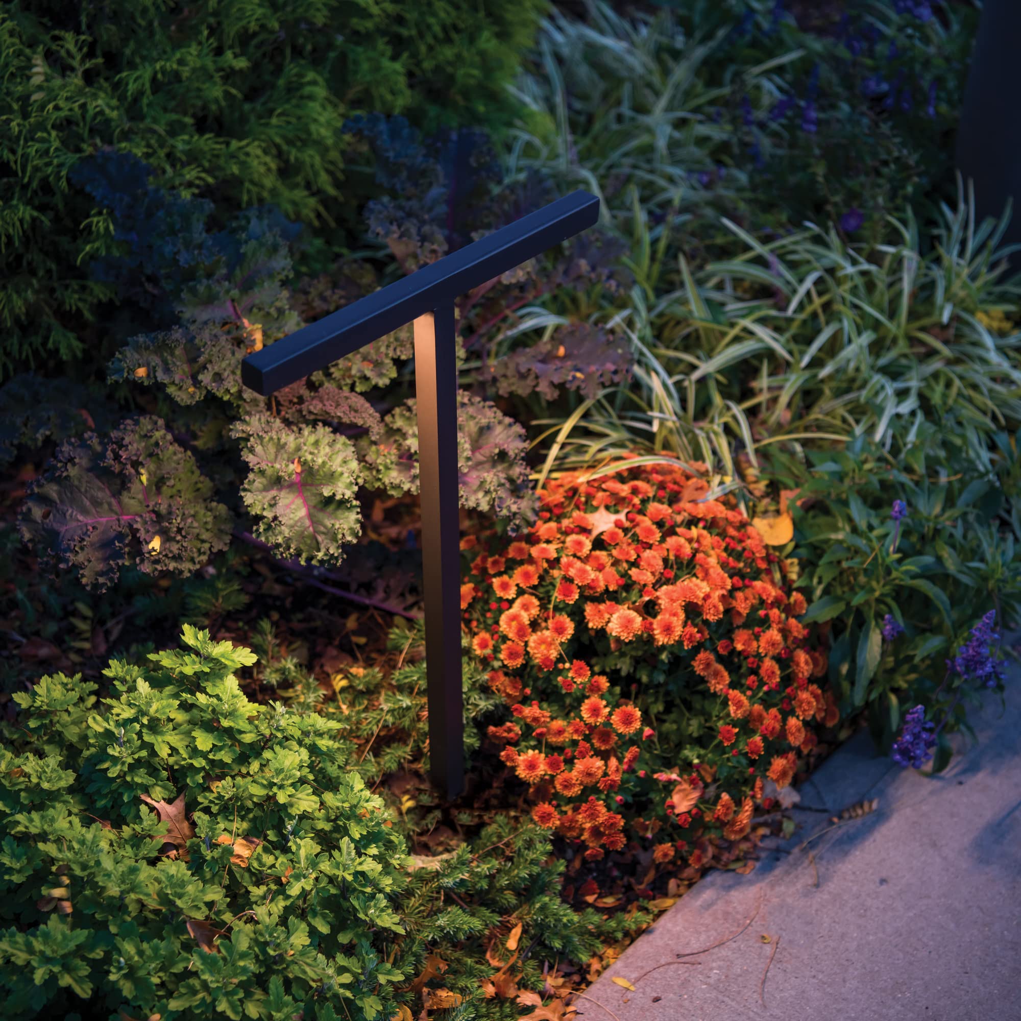 WAC Landscape Lighting, Balance LED 12V Path and Area Double Light 2700K Warm Built-in LED in Black