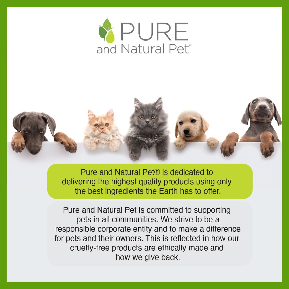 Pure and Natural Pet Organic Dental Solutions USDA Certified Organic Large Kit (.8 oz Canine Tooth Gel with Eco-Friendly Bamboo Toothbrush).