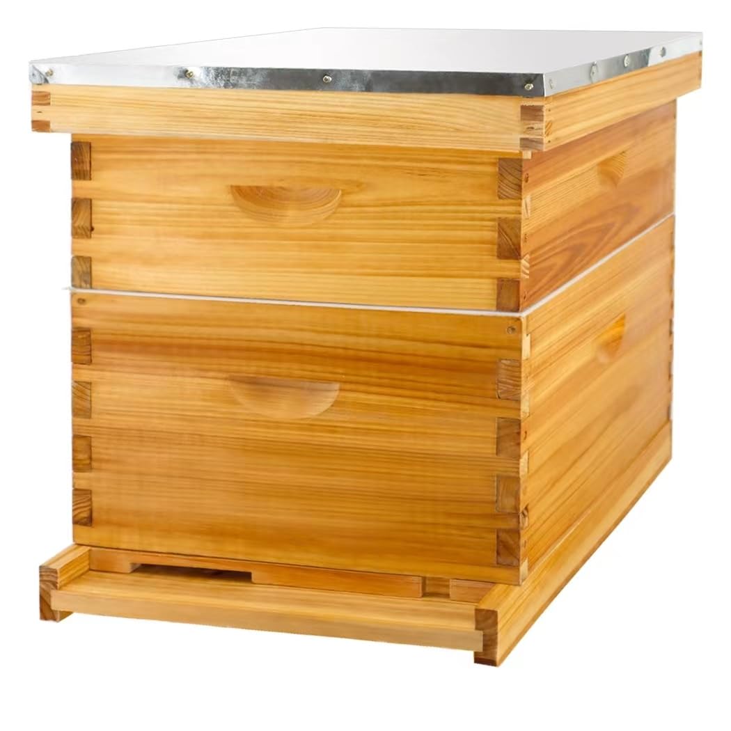 Honey Lake 10 Frame Bee Hive Starter Kit, Complete Beehive Kit for Beekeepers Dipped in 100% Beeswax Includes 1 Deep Brood Box & 1 Medium Super Bee Box with Beehive Frames and Waxed Foundation Sheet