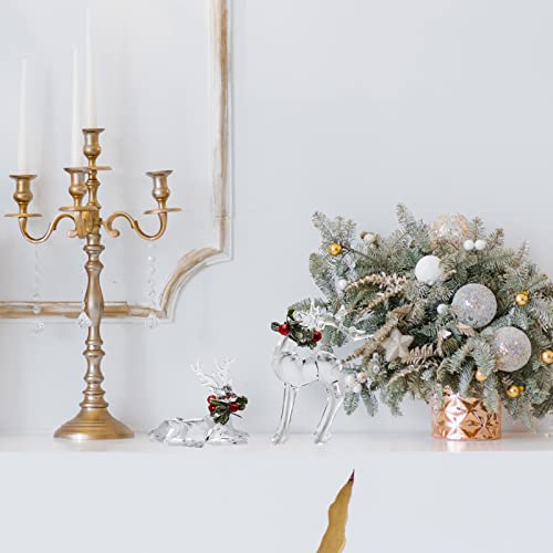 Queekay 2 Pcs Acrylic Christmas Reindeer Ornaments Clear Deer Figurine and Reindeer Table Top Decorations Holiday Table Centerpiece(Pretty Style)