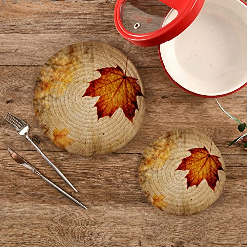 Fall Pot Holders Trivets for Hot Dishes, Vintage Maple Leaves Hot Pot Holder Trivets Cotton Thread Weave Trivet Heat Resistant Kitchen Decorative 2 Pcs