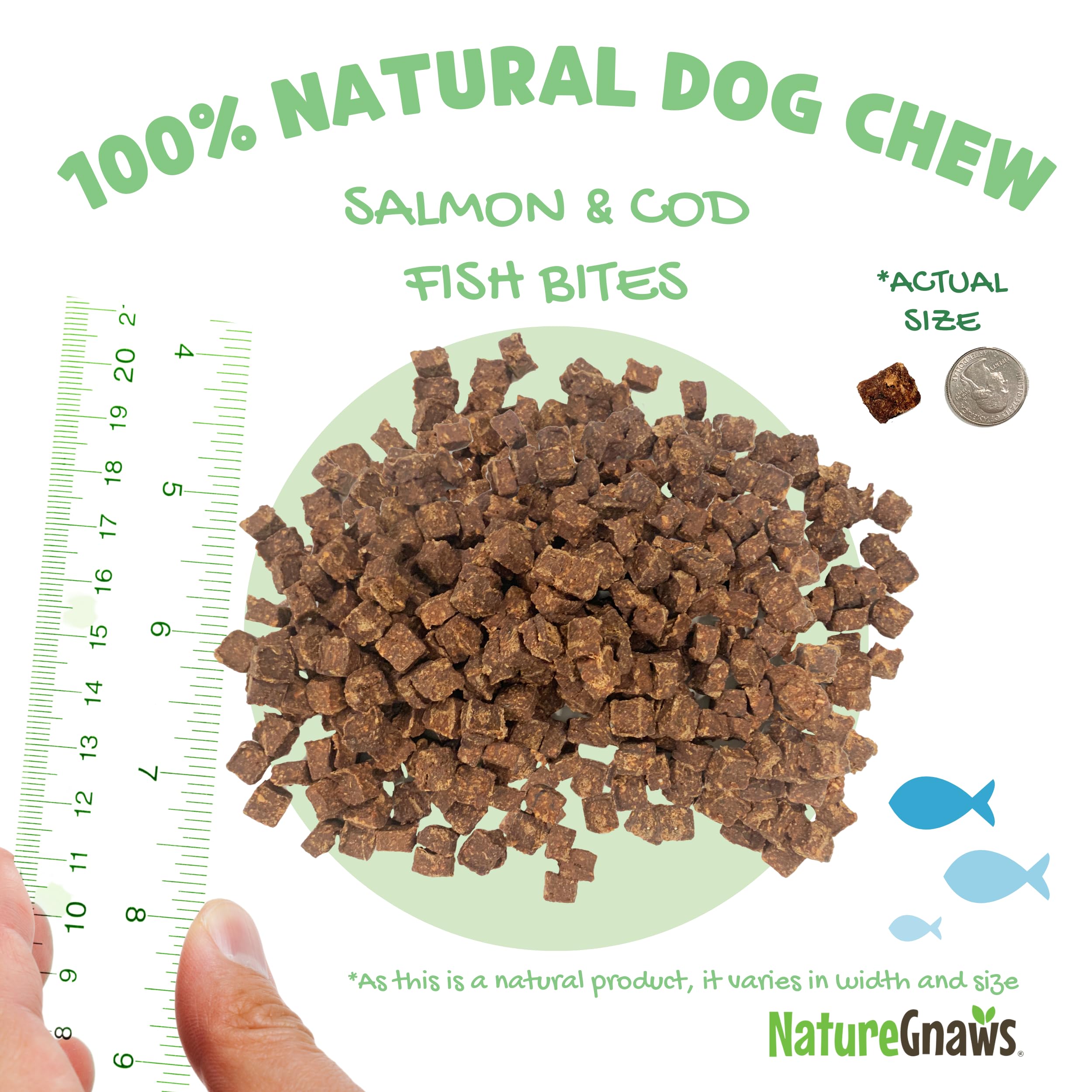 Nature Gnaws Fish Bites for Dogs - Natural Dog Treats β Premium Cod & Salmon Chewy Training Reward β 1 Lb