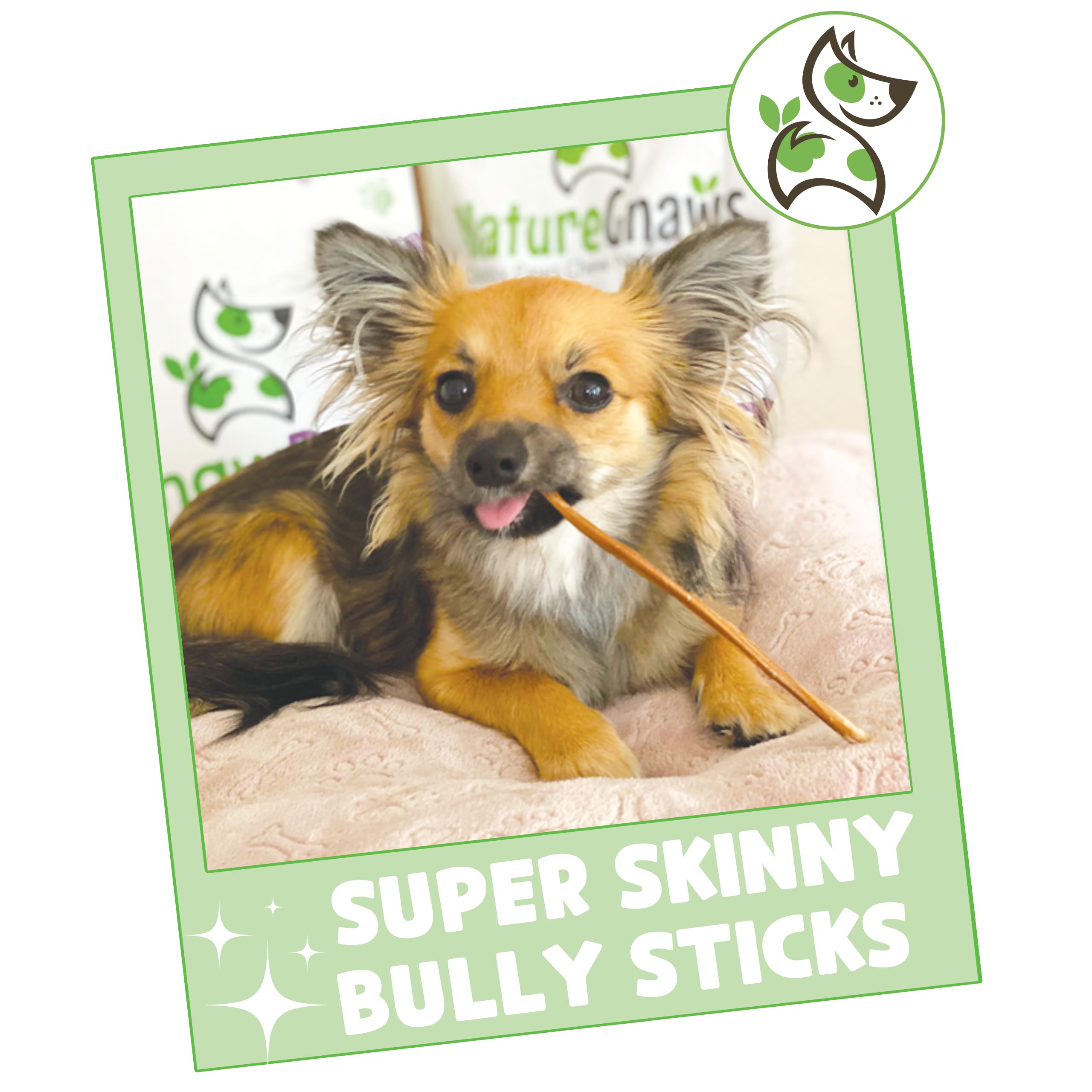 Nature Gnaws Super Skinny Bully Sticks for Small Dogs 5-6" (15 Count) - Long Lasting for Light Chewers and Puppies - Extra Thin Natural Beef Dog Chew Treats