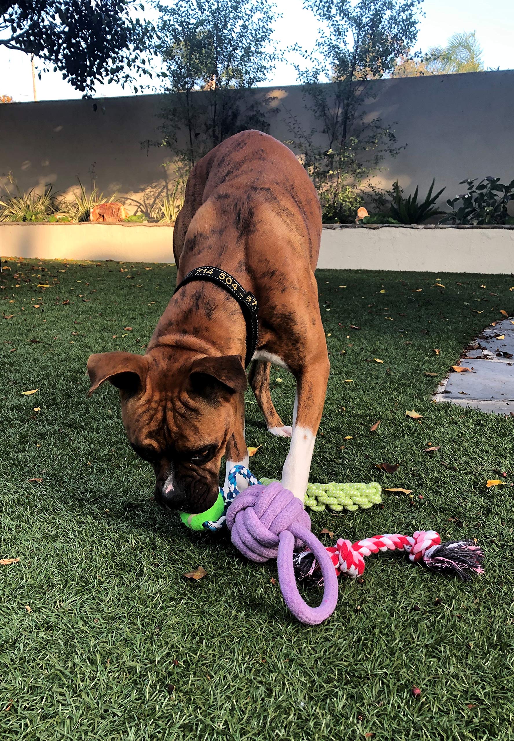RITE-HITE Rope Dog Toys - for Small, Medium, and Large Size Dogs, Includes Ball, Made for Aggressive chewers and Great for Teething (Large)