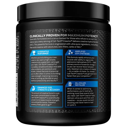 Creatine Powder | MuscleTech Cell-Tech Creactor | Creatine HCl Formula | Muscle Builder for Men & Women | Creatine HCl + Free-Acid Creatine | Creatine Supplements | Blue Raspberry Blast, 120 Servings