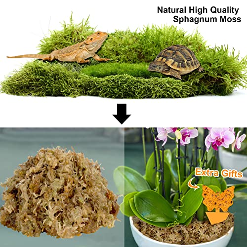 Stingmon 25QT Sphagnum Moss for Plants, Orchid Moss for Potted Plants Peat Moss, Dried Sphagnum Moss for Orchids Reptiles Potting Mix Soil Ochid Soil (7oz 200g)
