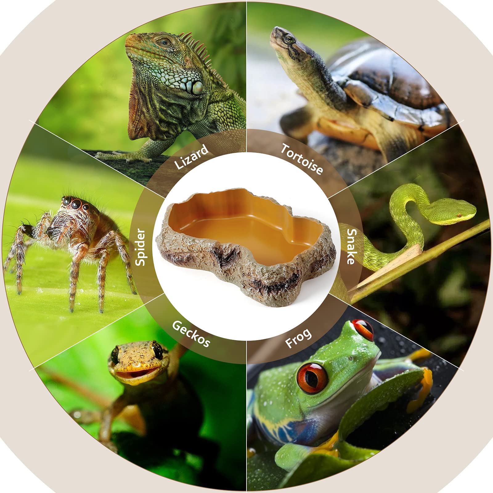 Reptile Food Water Rock Bowls - Lizard Resin Rock Worm Feeding Dish, Amphibian Feeder Bowl Terrarium Decor for Bearded Dragons, Chameleon, Leopard Gecko, Frog, Snake, Hermit Crabs, Turtle Spider Pet