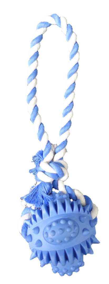Rubber Dental Ball with Rope Dog Toy (Blue)