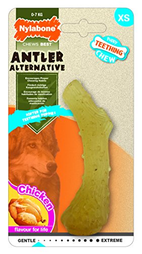 Nylabone Puppy Chew Gentle Chewing Puppy Antler Alternative Chicken Flavored Dog Chew Toy, Petite