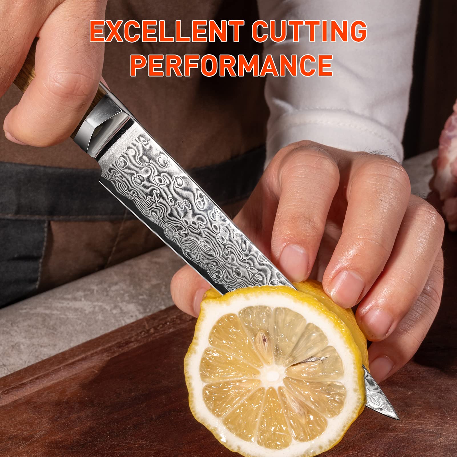 FUJUNI Kitchen Utility Knife 5 inch Damascus Small Chef Knife 67-Layer Damascus VG10 Steel Ultra Sharp Professional Paring Knife with Hexagon Natural Wood Handle