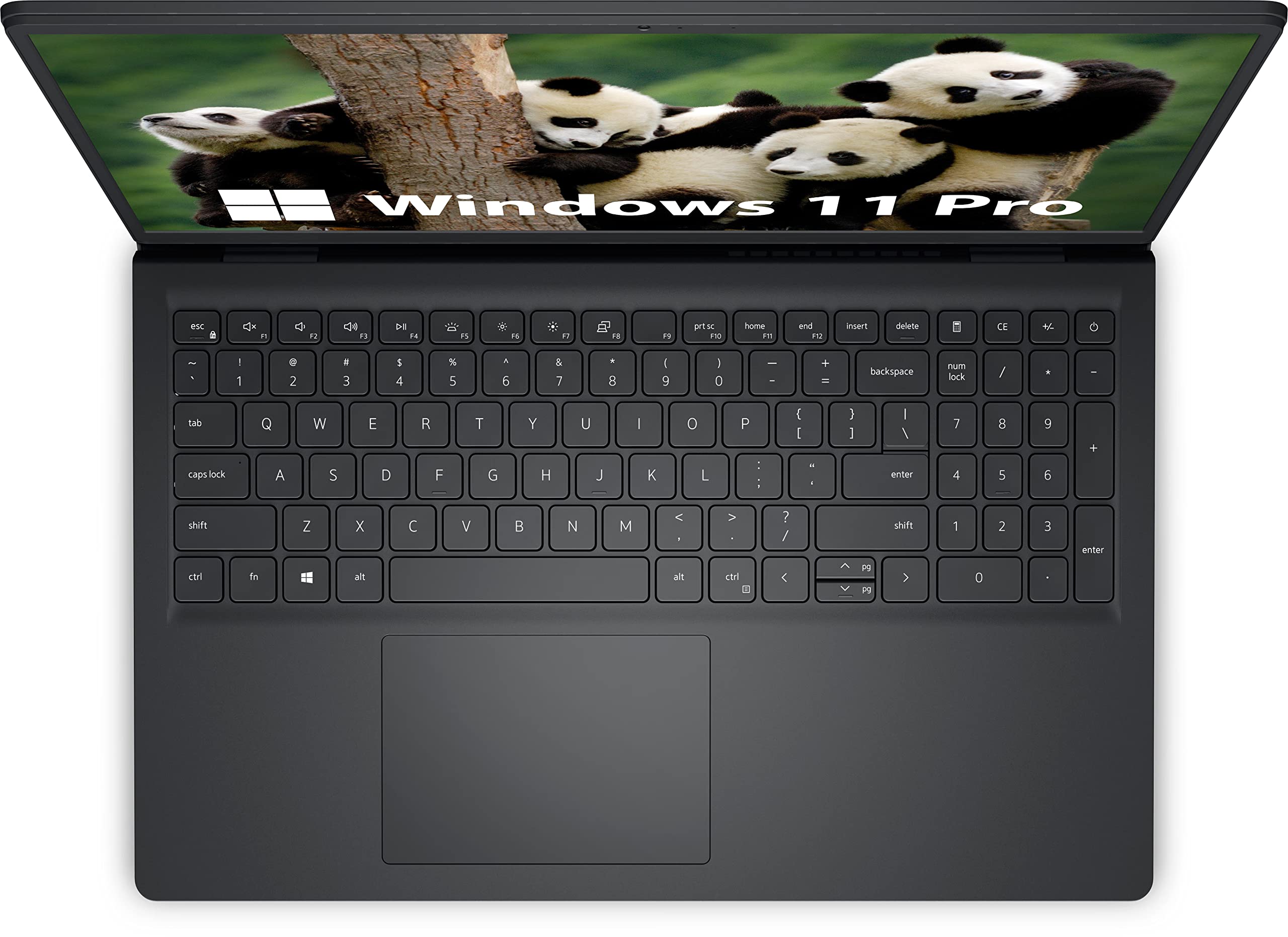 Dell 2023 Inspiron 15 3000 Laptop, 15.6 HD Display, Intel Celeron N4020 Dual-Core Processor, up to 2.80 GHz,8GB DDR4 RAM,512GB PCIe SSD,HD Webcam,SD Card Reader,HDMI,Bluetooth,Windows 11 Pro,Black