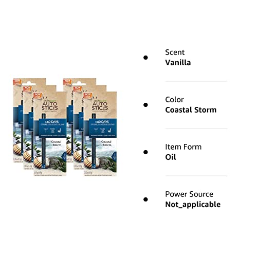 Enviroscents Auto Sticks Natural Car Air Fresheners, 6-Pack with 12 Sticks (Coastal Storm)