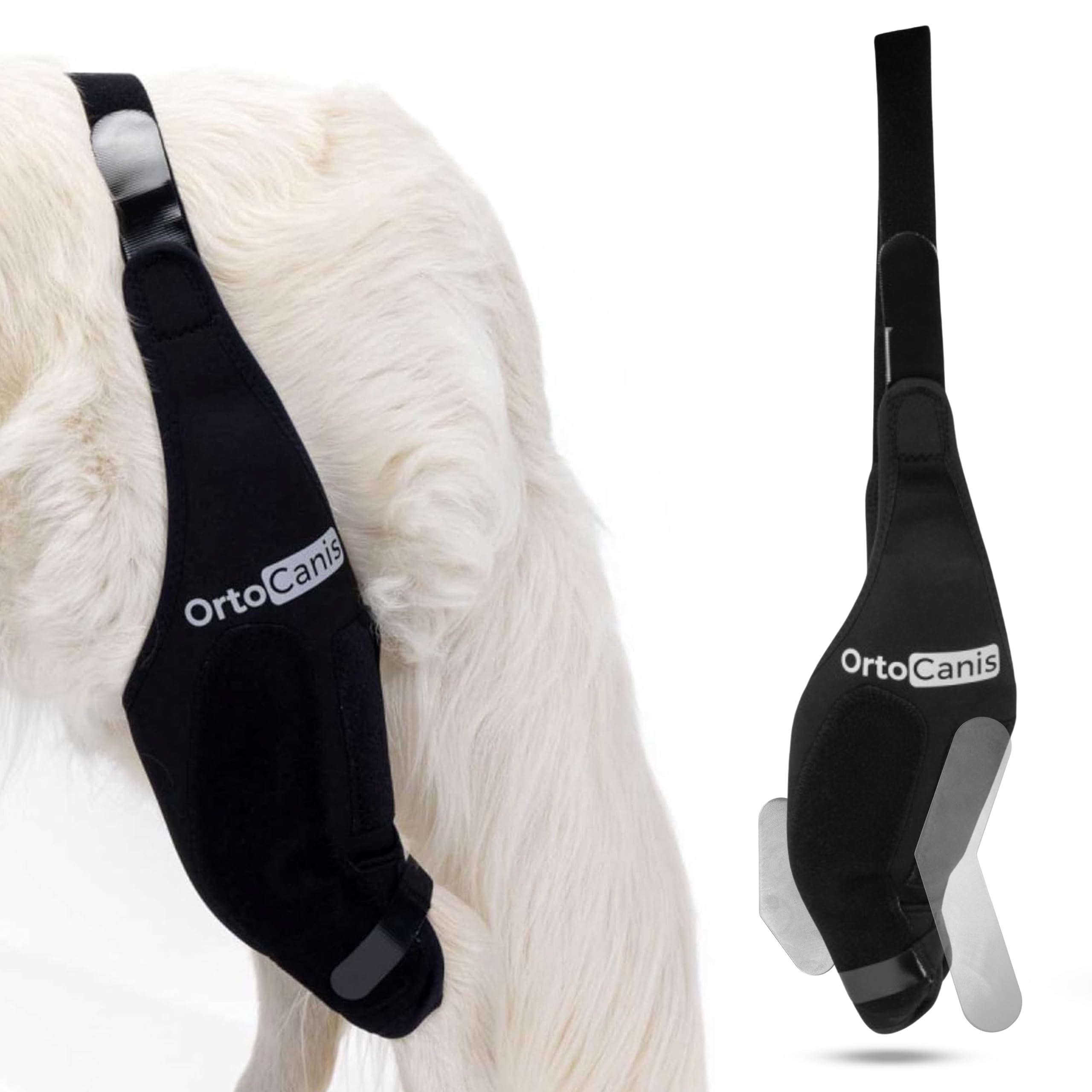 Ortocanis - Knee Brace for Dogs with Ligament Rupture and Patella Luxation, Size XXS, Left Leg