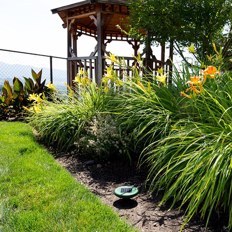 Good Life, Inc. Solar Safeguard | Solar Powered Mole, Gopher & Vole Repeller | Ultrasonic Sounds & Vibrations | Large Coverage Area | Water & Weather Resistant