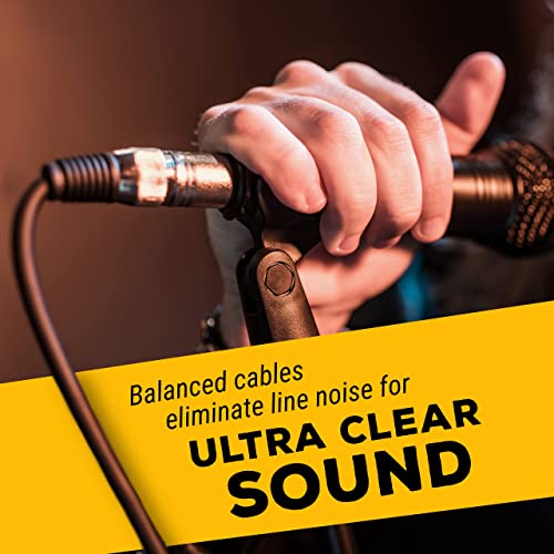 GLS Audio XLR Cables - Set of 2 100ft Male to Female Microphone Cable w/External Locking Mechanism for Professional Studio Recording